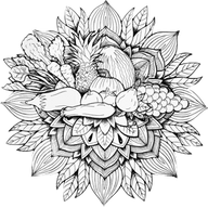 Nimbin Organic Food Co-op | not-for-profit organisation | Home